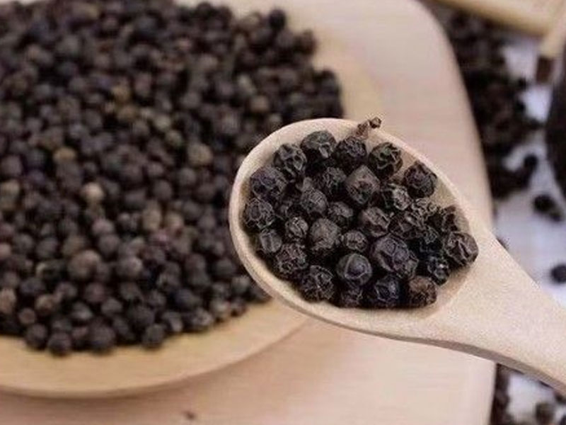 Green Nature Crop — Connecting Fresh ASEAN Harvests