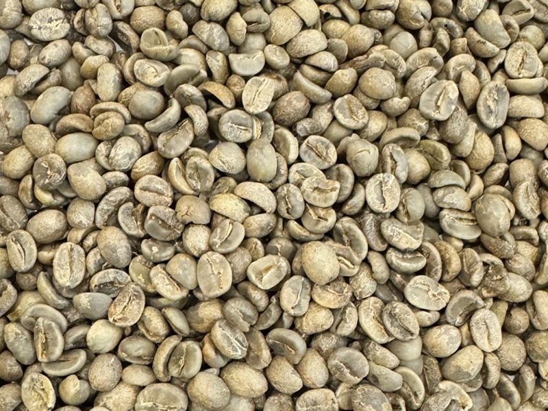 Green Nature Crop Lao — Agricultural Sourcing & Export Operations