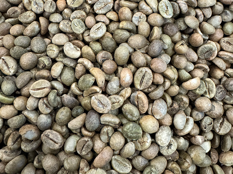 Green Nature Crop Lao — Agricultural Sourcing & Export Operations